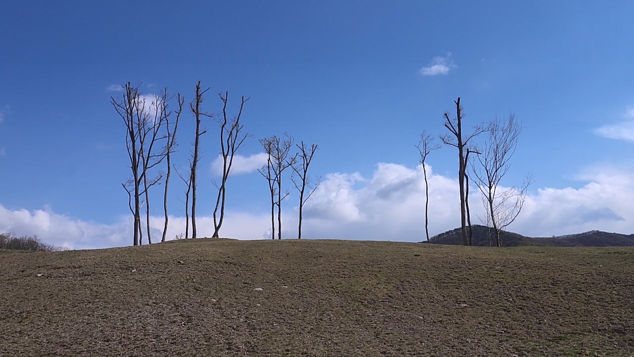 증평기록관 디지털 주제 아카이브 | (703473) 에듀팜 풍경 파노라마 5